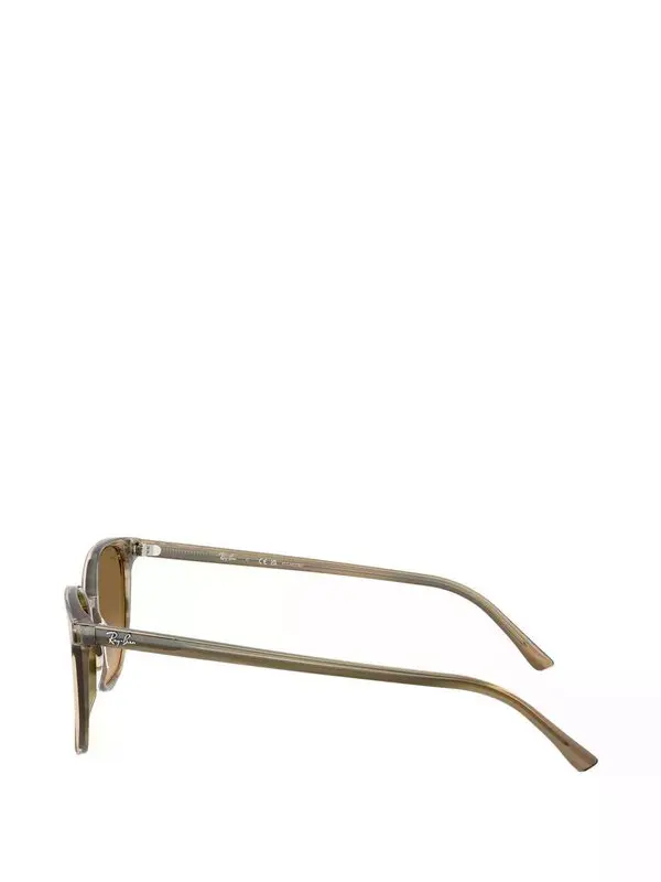 Ray-ban Elliot Sunglasses
