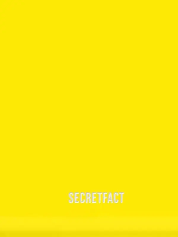 SECRETFACT The Base Magsafe-compatible Card Holder - Yellow