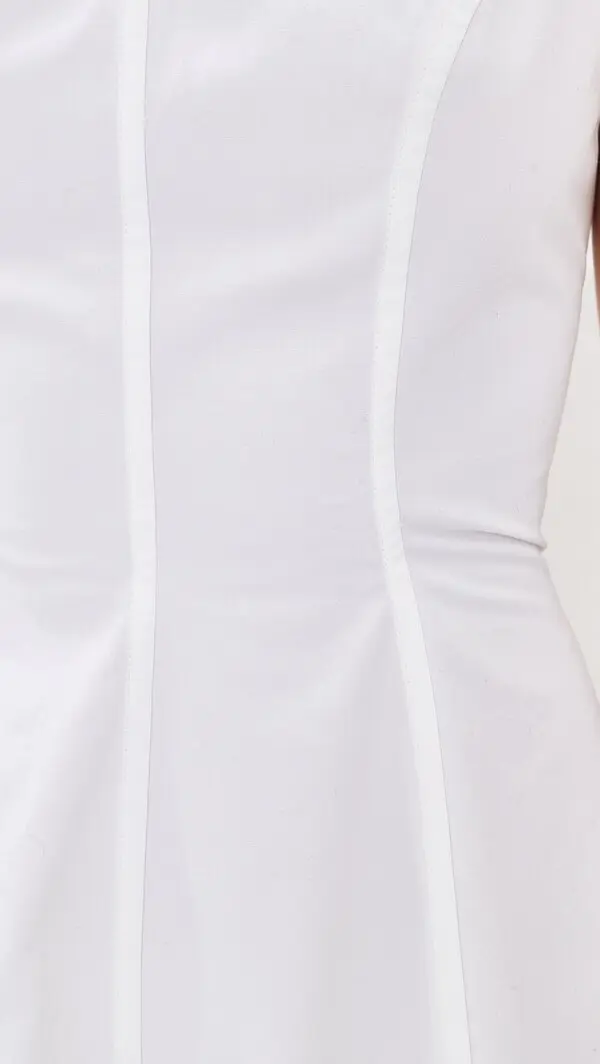 Brandon Maxwell The Poppy Mini Dress