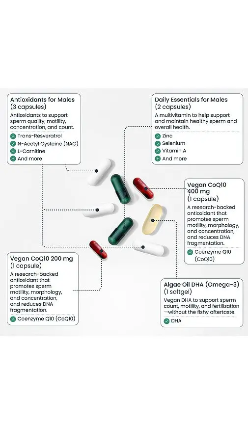 BIRD&BE Male Fertility Power + Coq10 Boost