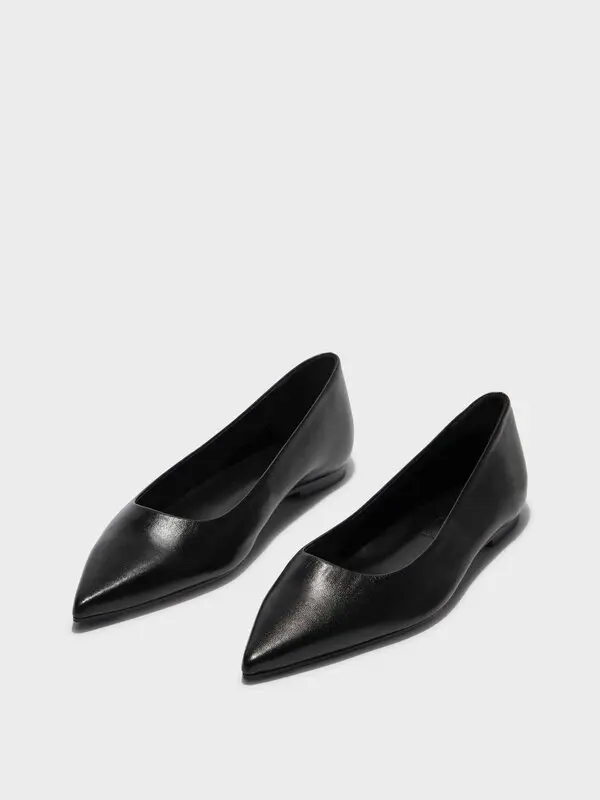 AeydĒ Cassy Pointed-toe Flats
