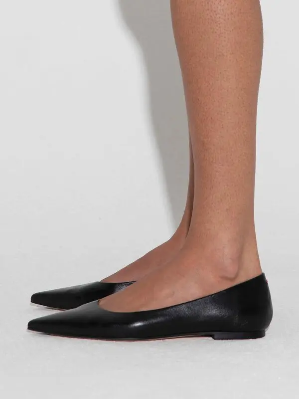 AeydĒ Cassy Pointed-toe Flats