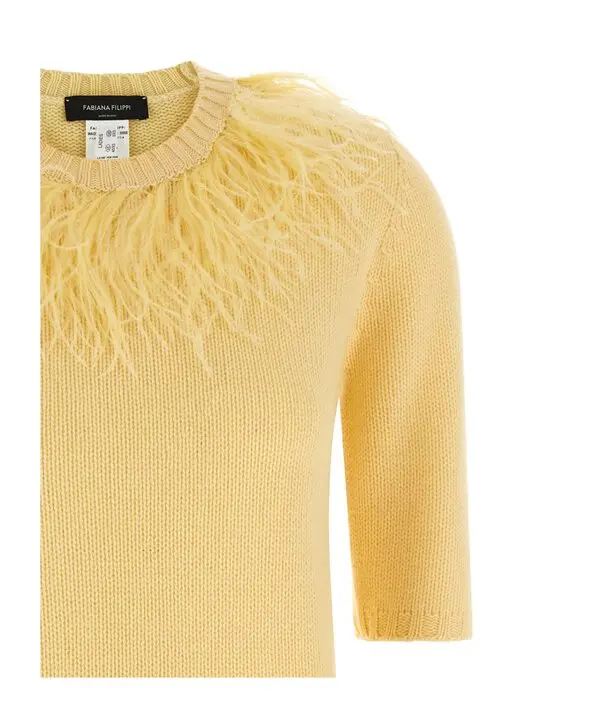 Fabiana Filippi Feather-trimmed Sweater