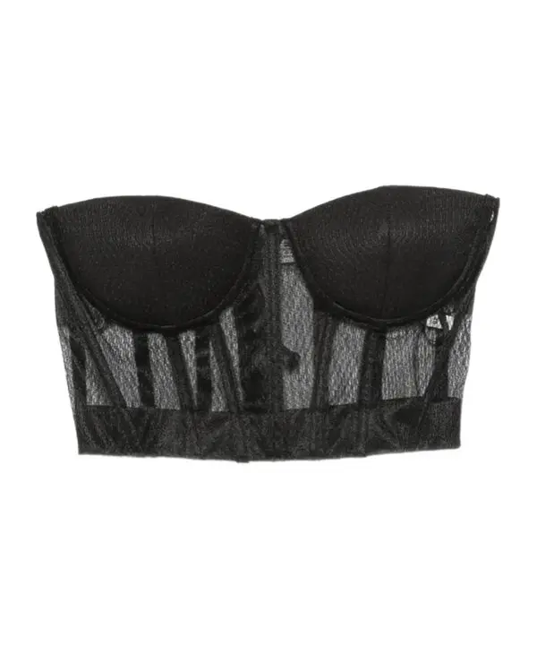 Elisabetta Franchi Mesh-panelled Corset-style Top