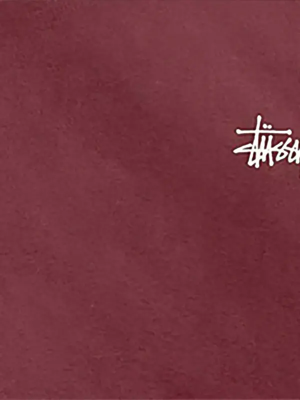StÜssy Logo-print T-shirt
