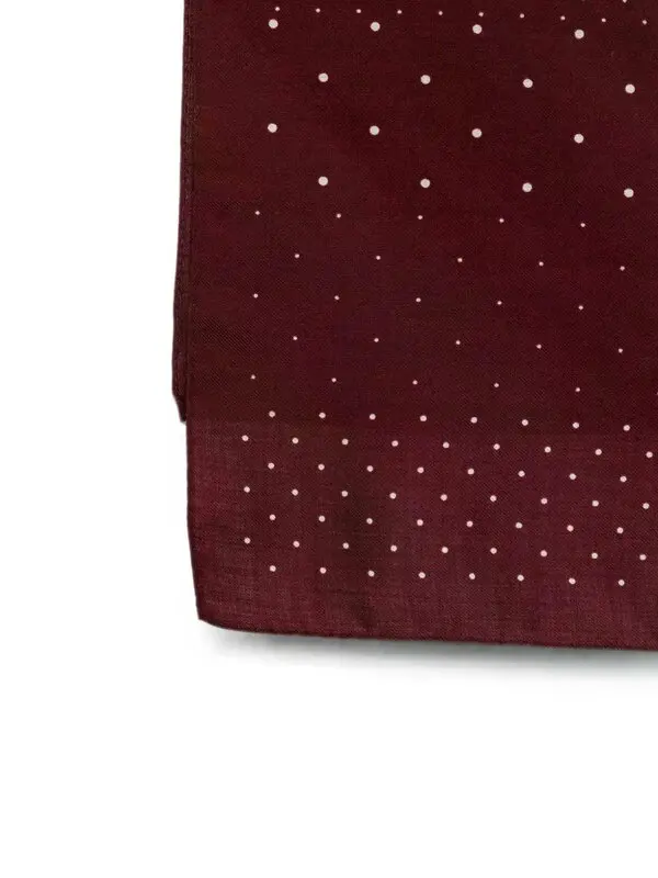 Destin Polka-dot Wool Scarf