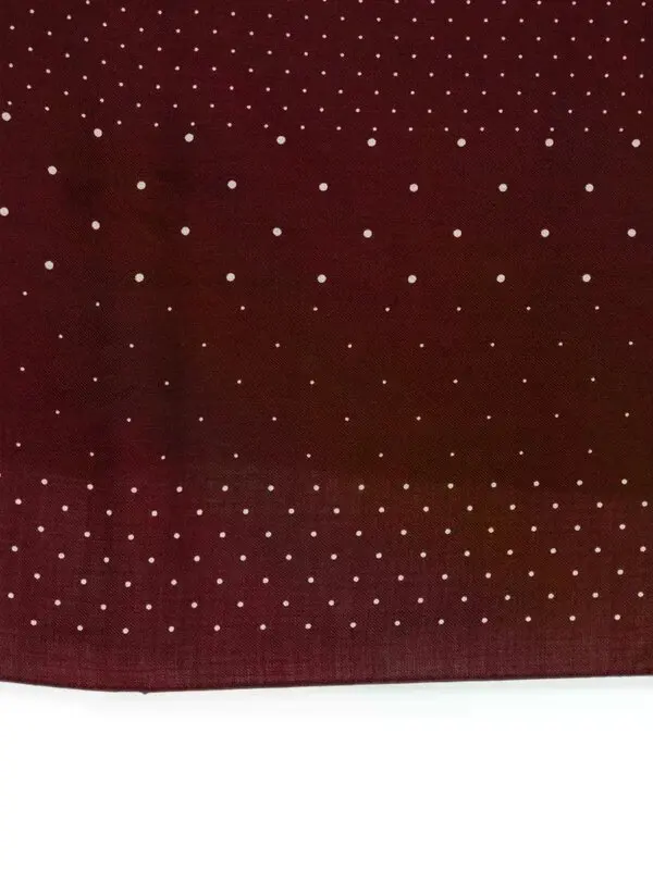 Destin Polka-dot Wool Scarf