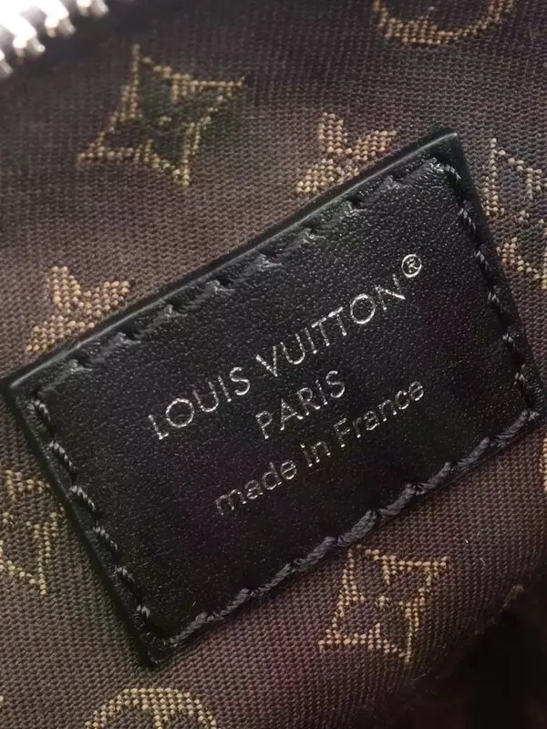 LOUIS VUITTON 2021-2026 Lambskin Biker Pm Satchel