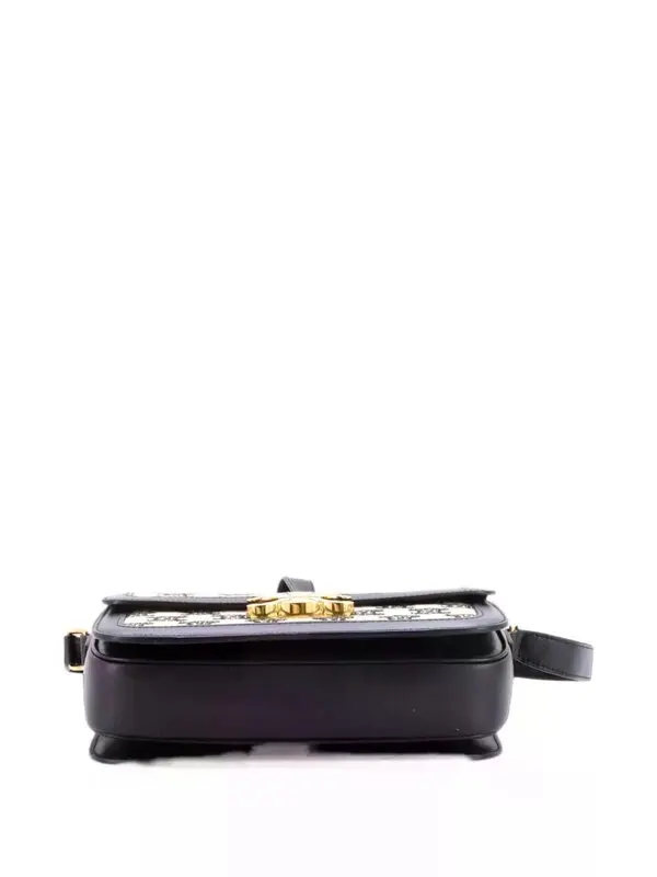Celine Triomphe Triomphe Canvas Medium Shoulder Bag