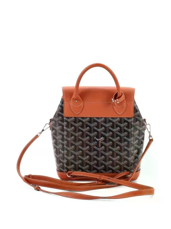 Goyard Alpin Coated Canvas Mini Backpack
