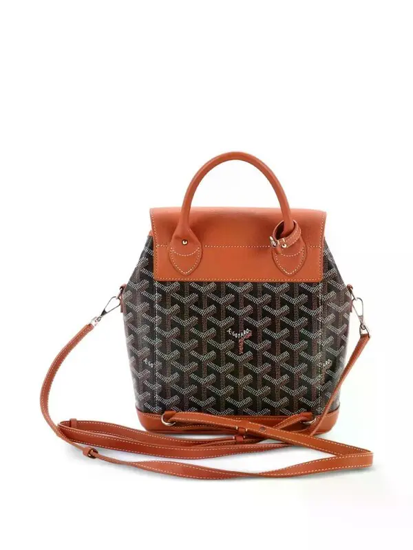 Goyard Coated Canvas Backpack - Black