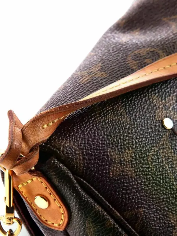 LOUIS VUITTON Favorite Monogram Canvas Medium Cross Body Bag - Brown