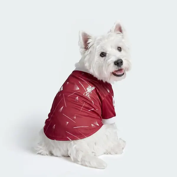 Adidas Pet Jersey Liverpool Fc