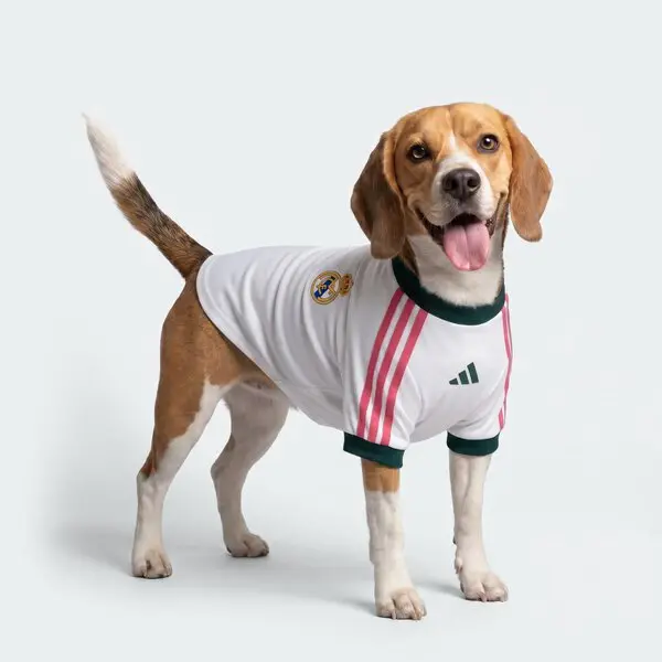 Adidas Real Madrid Pet Jersey - White