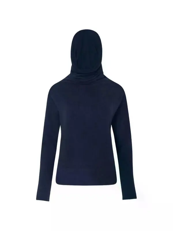 Altuzarra Hooded Sweater