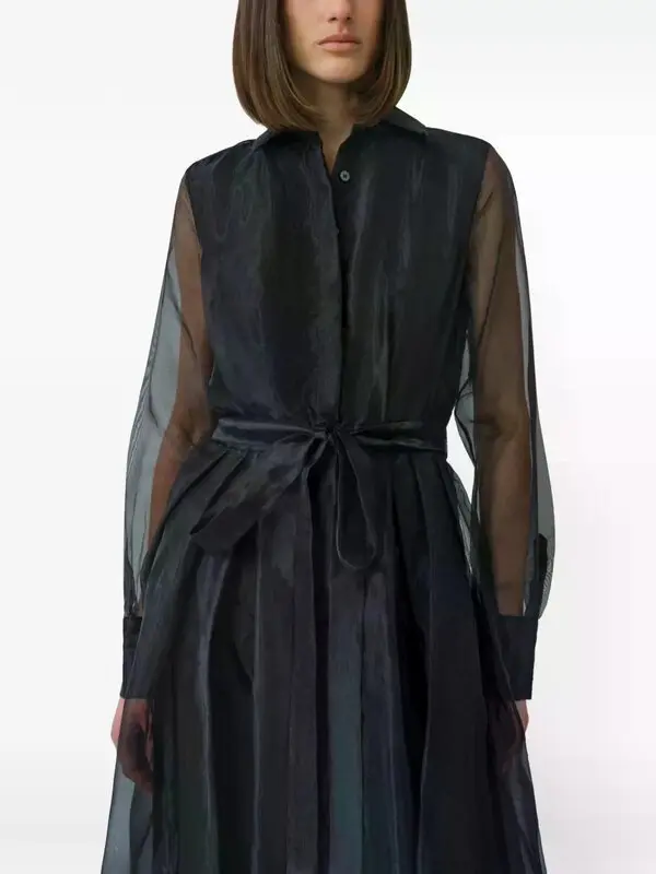 Simkhai Montgomery Organza Maxi Dress