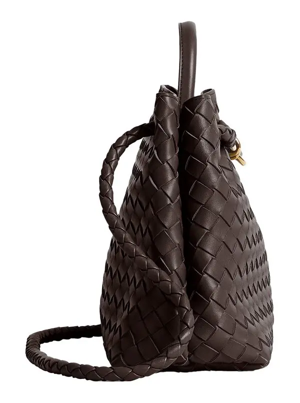 Bottega Veneta Andiamo Medium Handbag - Multicolor