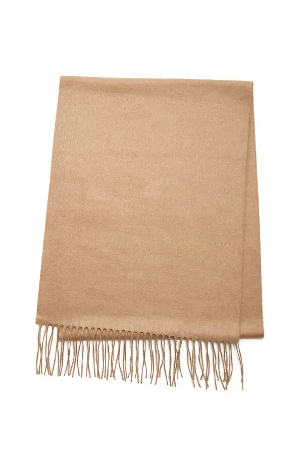 Gabriela Hearst Blaine Fringe Scarf In Brushed Silk Cashmere M - Camel