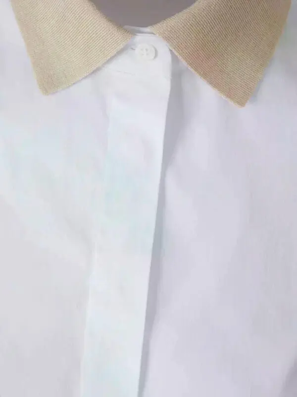 Peserico Contrast-collar Long-sleeve Shirt