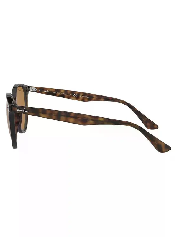 Ray-ban Round-frame Tinted-lens Sunglasses