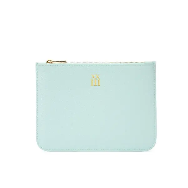 XXIII The Essential Leather Pouch /gold
