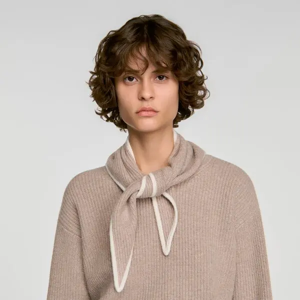 Sandro Sweater With Removable Scarf