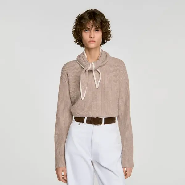 Sandro Sweater With Removable Scarf