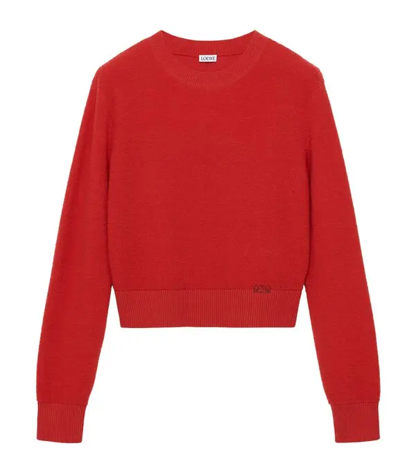 Loewe Wool-blend Embroidered Sweater
