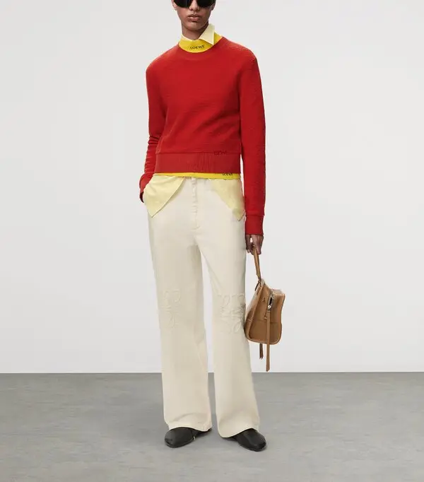Loewe Wool-blend Embroidered Sweater