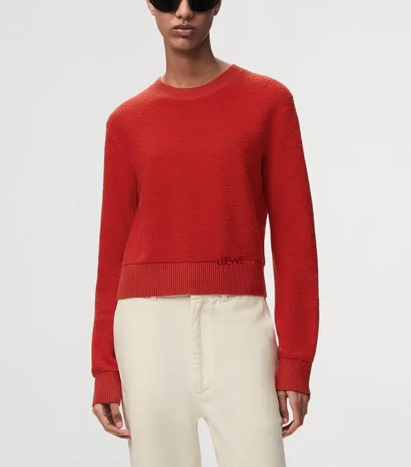 Loewe Wool-blend Embroidered Sweater