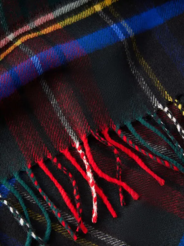 Johnstons Of Elgin Fringed Checked Wool Scarf