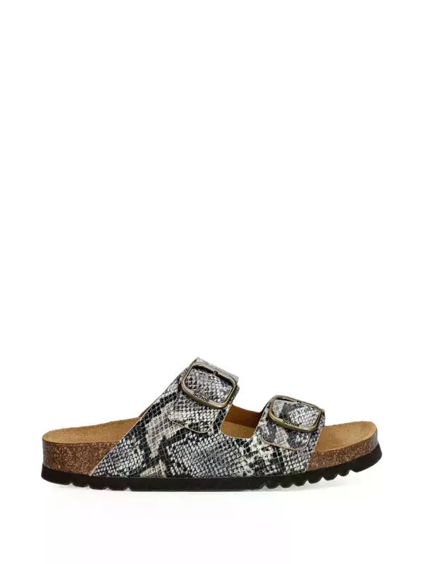 DR. SCHOLL'S SHOES Josephine Flat Sandals
