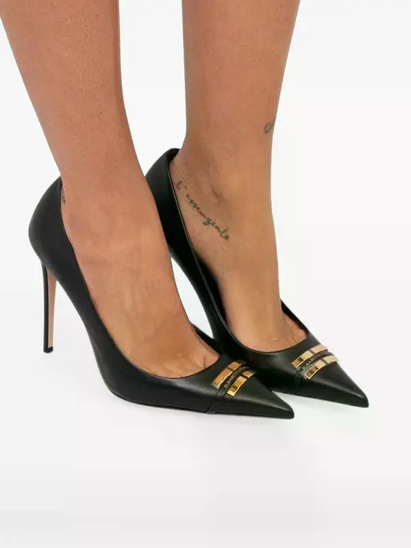 Elisabetta Franchi Logo-plaque Pointed-toe Pumps