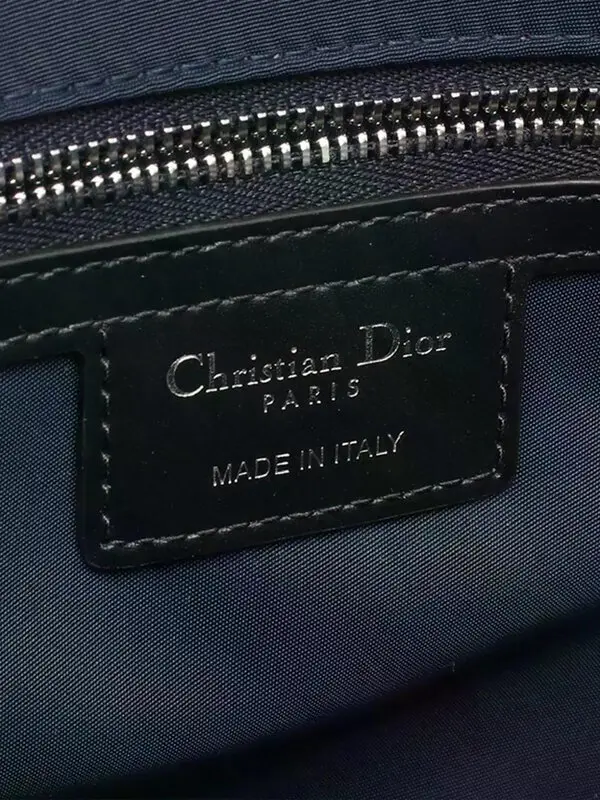 Dior 2015-2026 Oblique Crossbody Bag