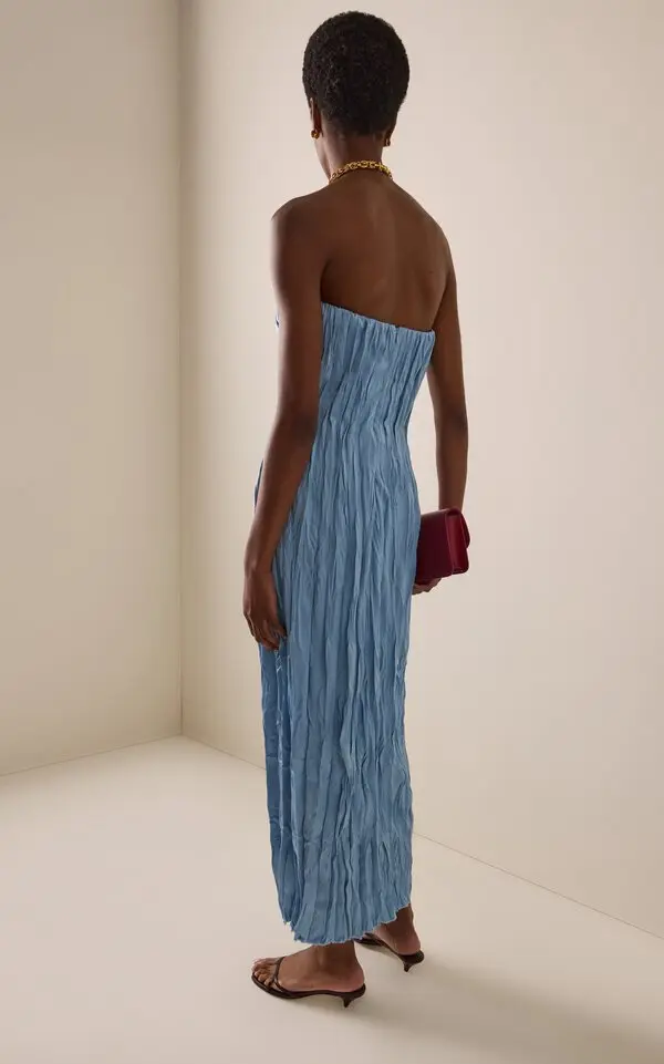 Alejandra Alonso Rojas Bustier Pleated Crepe Maxi Dress