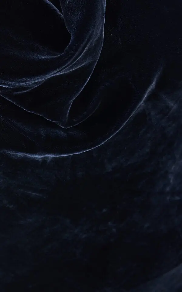 Cara Cara Genesis Silk-blend Velvet Gown
