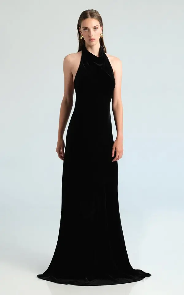 Cara Cara Huntball Silk-blend Velvet Gown