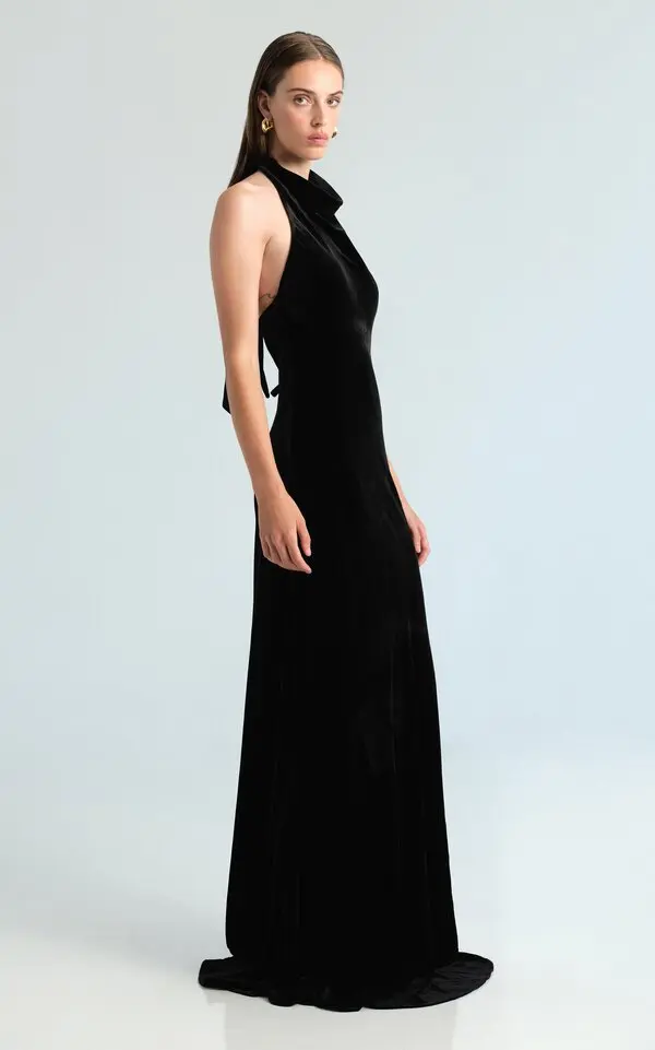 Cara Cara Huntball Silk-blend Velvet Gown