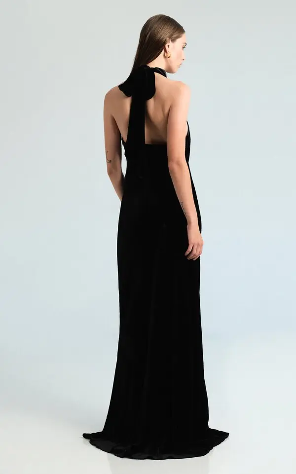Cara Cara Huntball Silk-blend Velvet Gown