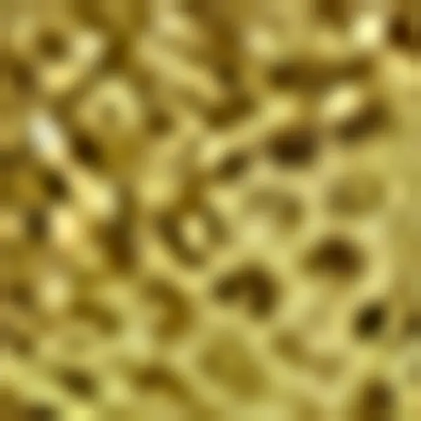 Maison Lejaby Dreamcatcher Underwire Bra