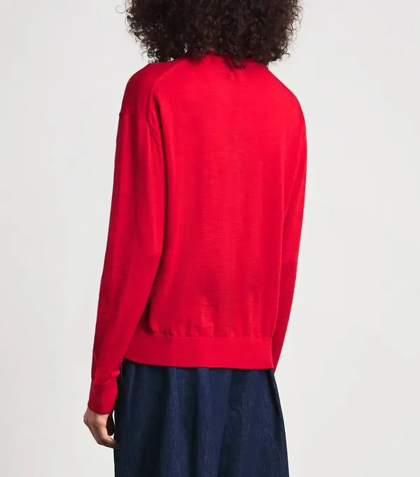 Polo Ralph Lauren Wool V-neck Sweater