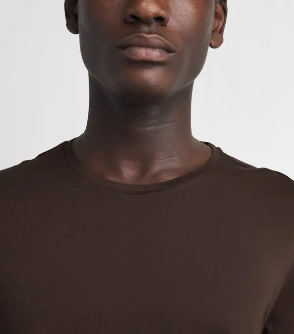 Paige Pima Cotton Sorden T-shirt - Brown