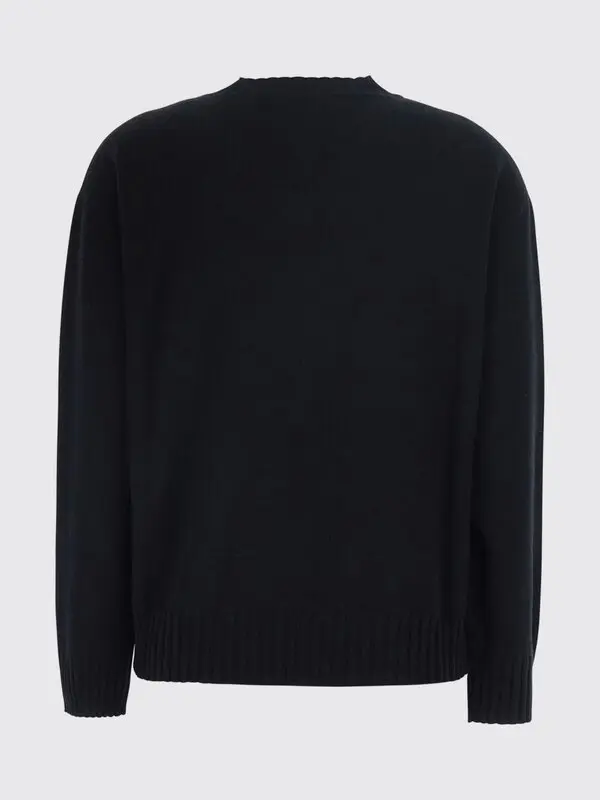 Fabiana Filippi Sweater