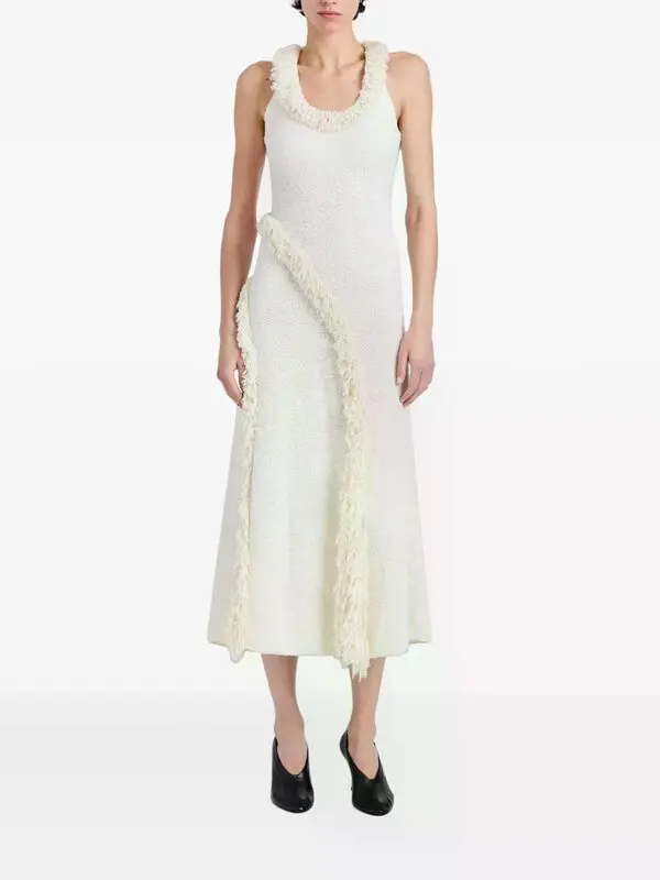 Proenza Schouler Nilo Fringe-trimmed Jacquard Dress - Neutrals