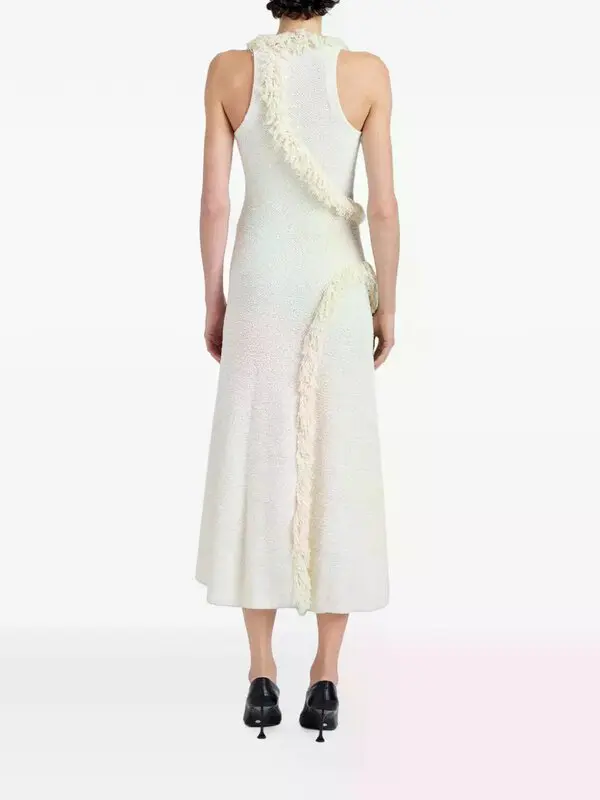 Proenza Schouler Nilo Fringe-trimmed Jacquard Dress - Neutrals