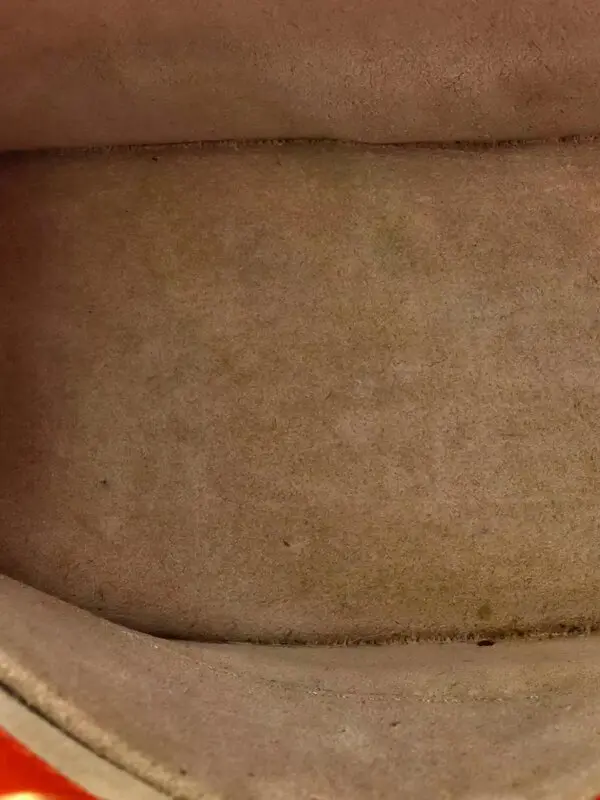 Chloé Nile Leather Small Crossbody Bag