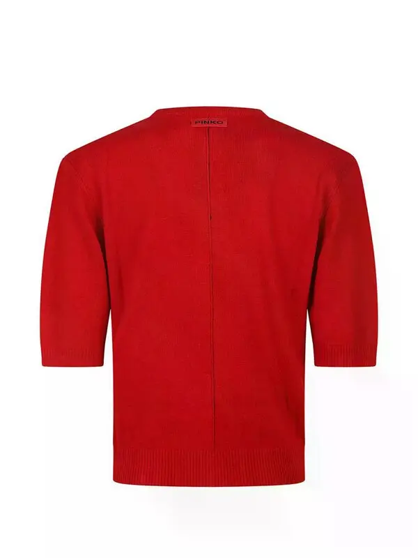 Pinko V-neck Sweater In Wool And Cashmere