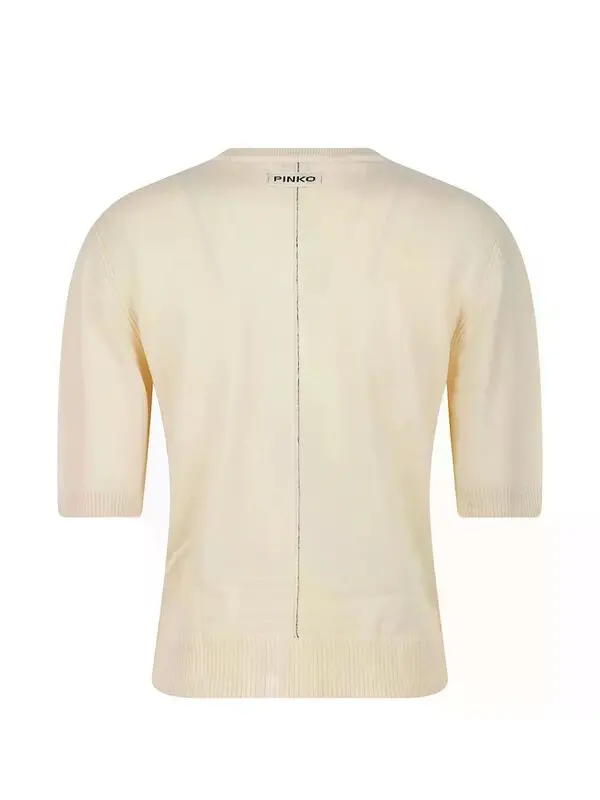 Pinko V-neck Sweater In Wool And Cashmere