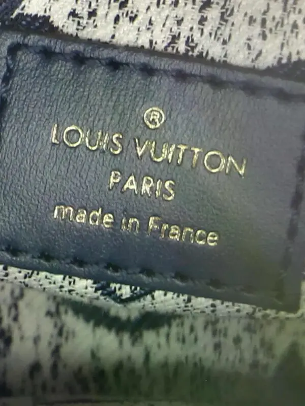 LOUIS VUITTON Loop Handbag Monogram Jacquard Denim Hobo Bag