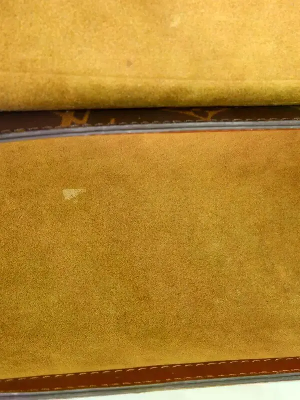 LOUIS VUITTON Monogram Canvas Papillon Trunk Bag